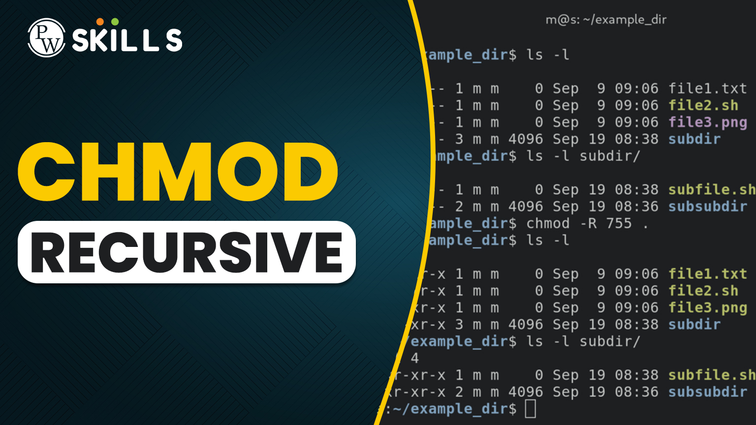 Chmod Recursive Guide: How To Change Permissions In Linux - 13 Steps