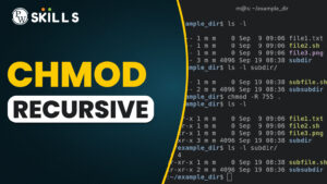 What Is Chmod Command And How To Use- 7 Powerful Steps To Master