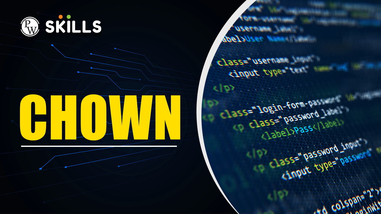 What Is 'chown' Command In Linux - 7 Key Steps To Master ‘chown’